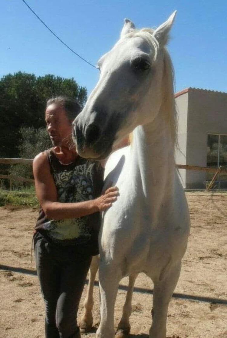 Taller Caballo y Humano, en busca de un lenguaje común - Amigos Bilbao